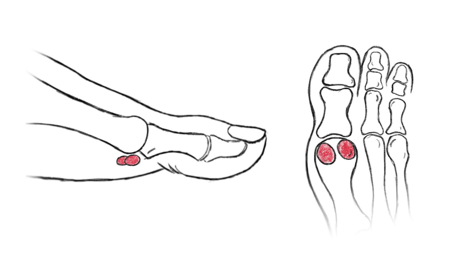 Unsere Füße – ein Wunderwerk! - Horstmann Orthopädieschuhtechnik